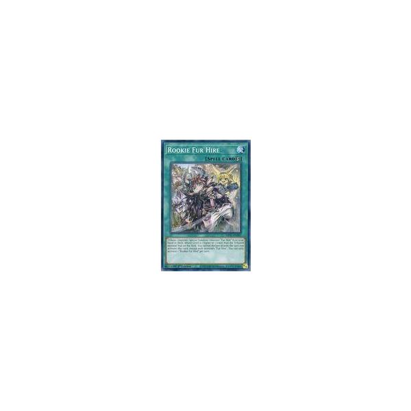 商品名：中古遊戯王 MP21-EN207[N]：Rookie Fur Hire/新風の空牙団遊戯王/N/魔法/英語版/2021 Tin of Ancient Battles分類：魔法/レア度：Nシリーズ：英語版/2021 Tin of An...