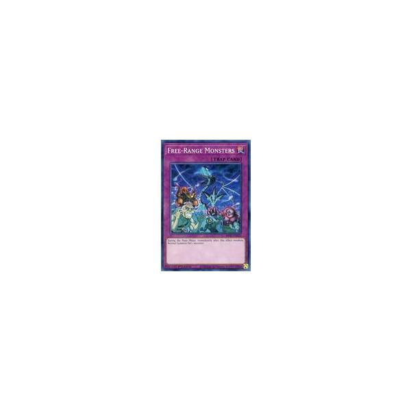 商品名：中古遊戯王 MP21-EN215[N]：Free-Range Monsters/魍魎跋扈遊戯王/N/罠/英語版/2021 Tin of Ancient Battles分類：罠/レア度：Nシリーズ：英語版/2021 Tin of An...