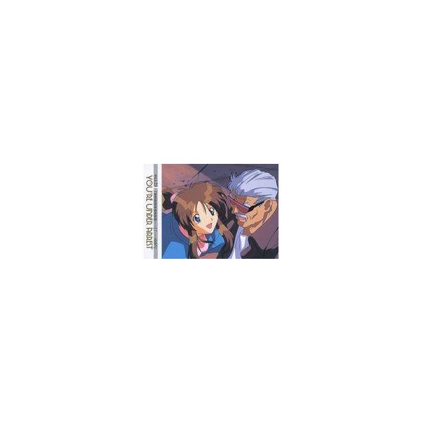商品名：中古アニメ系トレカ 104[ノーマル]：FILE.23アニメ系トレカ/ノーマル/逮捕しちゃうぞ TVシリーズ トレーディングカードレア度：ノーマル逮捕しちゃうぞ TVシリーズ トレーディングカードこちらの商品は、発売された年代が古い...
