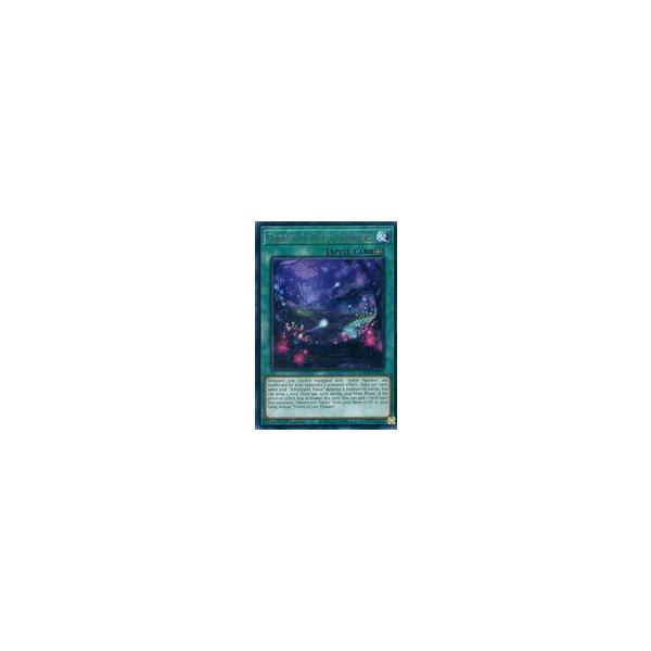 商品名：中古遊戯王 GRCR-EN034[R]：Forest of Lost Flowers/迷い花の森遊戯王/R/魔法/英語版/The Grand Creators分類：魔法/レア度：Rシリーズ：英語版/The Grand Creator...