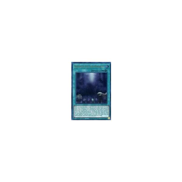 商品名：中古遊戯王 GFP2-EN161[UR]：Domain of the True Monarchs/真帝王領域遊戯王/UR/魔法/英語版/Ghosts From the Past：The 2nd Haunting分類：魔法/レア度：U...