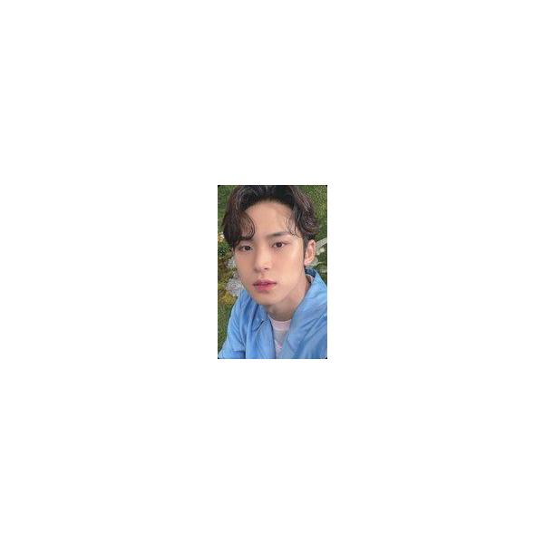 商品名：中古コレクションカード(男性) SEVENTEEN/MINGYU(ミンギュ)/CD「SECTOR 17」(一般盤)SEVENTEEN Weverse Shop JAPAN特典スペシャルフォトカードコレクションカード(男性)/CD「S...