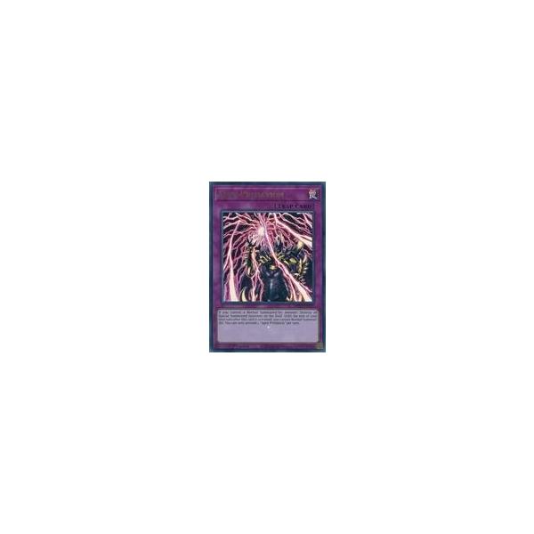 商品名：中古遊戯王 MP22-EN235[UR]：Apex Predation/絶対なる捕食遊戯王/UR/罠/英語版/2022 Tin of the Pharaoh’s Gods Mega Pack分類：罠/レア度：URシリーズ：英語版/2...