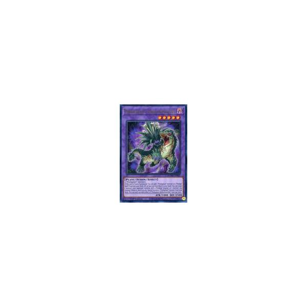 商品名：中古遊戯王 MAMA-EN065[UR]：Predaplant Amublomelides/捕食植物アンブロメリドゥス遊戯王/UR/融合モンスター/英語版/Magnificent Mavens分類：融合モンスター/レア度：URシリー...
