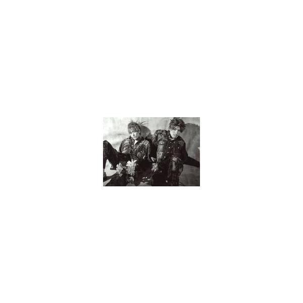 商品名：中古生写真(男性) EXIT/兼近大樹・りんたろー。/横型・2Lサイズ/CD「GENESIS」楽天ブックス限定特典ブロマイド生写真(男性)/お笑いタレント