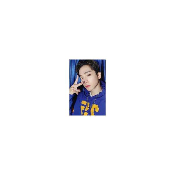 商品名：中古コレクションカード(男性) THE BOYZ/SANGYEON(サンヨン)/裏面ピンク/「THRILL-ING OFFICIAL MD」PVCミニポケットフォトカードセット(BANG Ver.) フォトカードコレクションカード(...