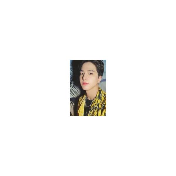 商品名：中古コレクションカード(男性) THE BOYZ/YOUNGHOON(ヨンフン)/裏面ピンク/「THRILL-ING OFFICIAL MD」PVCミニポケットフォトカードセット(BANG Ver.) フォトカードコレクションカード...