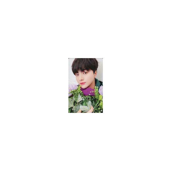 商品名：中古コレクションカード(男性) DRIPPIN/ジュンホ(JUN HO)/CD「Hello Goodbye(JUN HO盤)」(UPCH-89515)封入特典トレーディングカード(友達ver.)コレクションカード(男性)/CD「He...