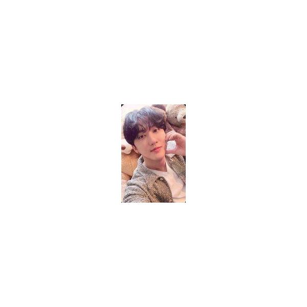 商品名：中古コレクションカード(男性) Stray Kids/Changbin(チャンビン)/裏面茶/「Stray Kids Official Fanclub STAY 3rd Generation」Kit封入フォトカードコレクションカード...