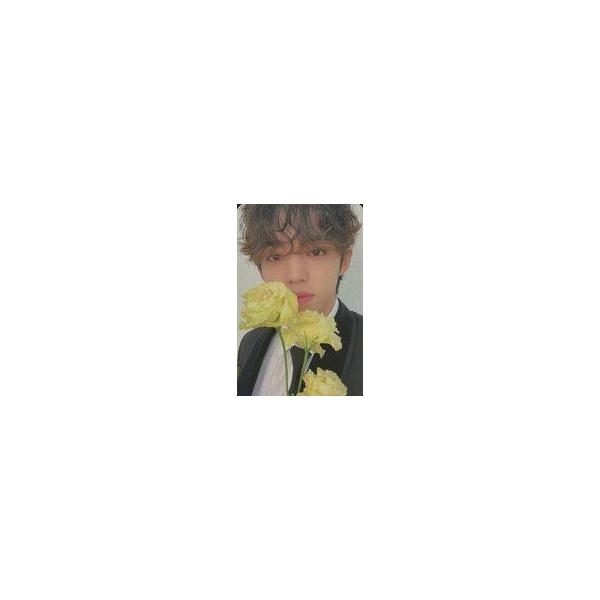 商品名：中古コレクションカード(男性) SEVENTEEN/S.COUPS(エスクプス)/CD「FML」(CARAT ver.)封入特典フォトカードコレクションカード(男性)/CD「FML」(CARAT ver.)封入特典フォトカードuse...