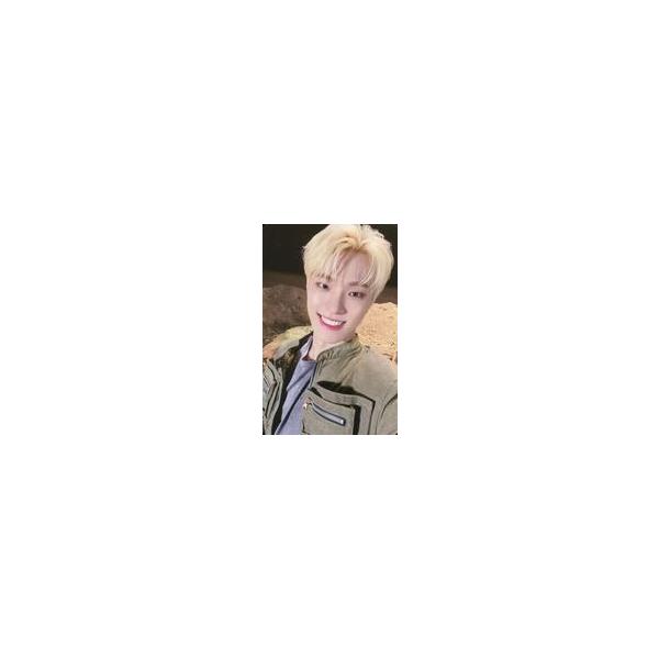 商品名：中古コレクションカード(男性) SEVENTEEN/DINO(ディノ)/裏面緑/CD「ALWAYS YOURS」(初回限定盤D)封入フォトカードDコレクションカード(男性)/CD「ALWAYS YOURS」(初回限定盤D)封入フォト...