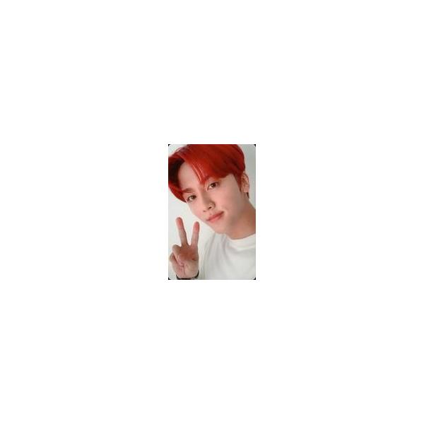 商品名：中古コレクションカード(男性) SF9/YOUNG BIN(ヨンビン)/裏面文字ホログラム仕様/「SF9 Official Fanclub＜FANTASY＞」4期入会特典FANSHIP KIT(FANTASIA HOLOGRAM)封...