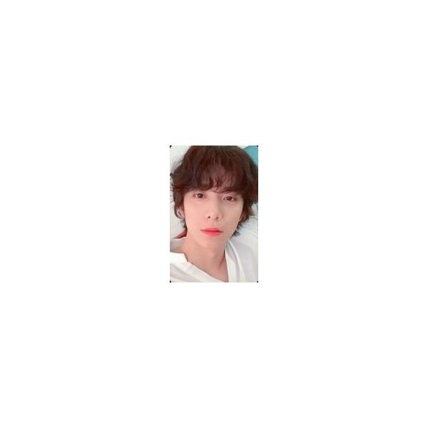 商品名：中古コレクションカード(男性) SF9/HWI YOUNG(フィヨン)/裏面文字ホログラム仕様/「SF9 Official Fanclub＜FANTASY＞」4期入会特典FANSHIP KIT(FANTASIA HOLOGRAM)封...