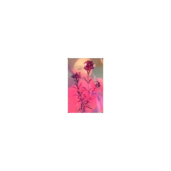 商品名：中古コレクションカード(女性) VIVIZ/オムジ(Umji)/CD「Beam Of Prism」レンチキュラーカードコレクションカード(女性)/CD「Beam Of Prism」レンチキュラーカードused0130_trading...