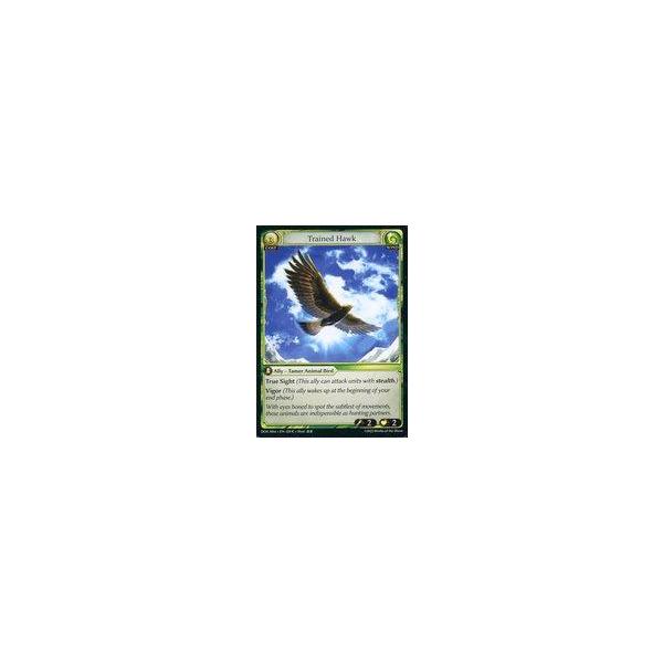 商品名：中古Grand Archive DOA Alter ・ EN - 228[C]：Trained HawkGrand Archive/C/WIND/英語版/Dawn of Ashes Alter Edition分類：WIND/レア度：...