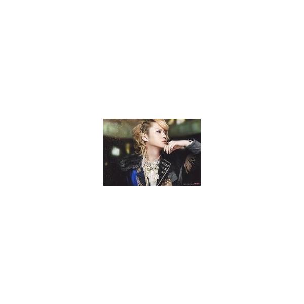 商品名：中古生写真(男性) The Brow Beat/Ryuji(佐藤流司)/横型/CD「Hameln」HMV特典ブロマイド生写真(男性)/バンド/The Brow Beat