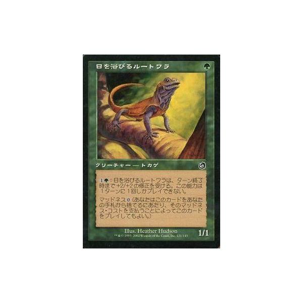 商品名：中古マジックザギャザリング 121/143[C]：【TOR】日を浴びるルートワラ/Basking Rootwallaマジックザギャザリング/日本語版/C/緑/トーメント分類：緑/レア度：C