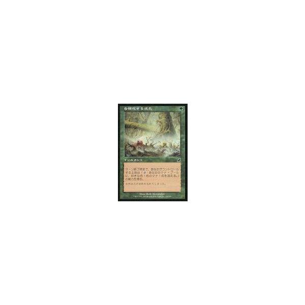 商品名：中古マジックザギャザリング 116/143[C]：【SCG】多様化する成長/Divergent Growthマジックザギャザリング/日本語版/C/緑/Scourge(スカージ)分類：緑/レア度：C