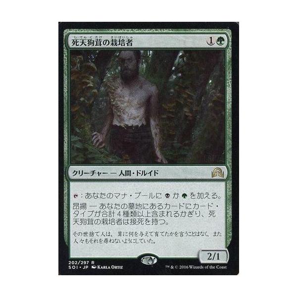 商品名：中古マジックザギャザリング [R]：死天狗茸の栽培者/Deathcap Cultivatorマジックザギャザリング/日本語版/R/イニストラードを覆う影/緑分類：緑/レア度：R分類：緑/レア度：R