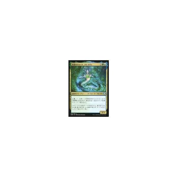 商品名：中古マジックザギャザリング 203/261[U]：【DMR】水底のドルイド、タトヨヴァ/Tatyova  Benthic Druidマジックザギャザリング/日本語版/U/マルチカラー/ドミナリア・リマスター分類：マルチカラー/レア度：U