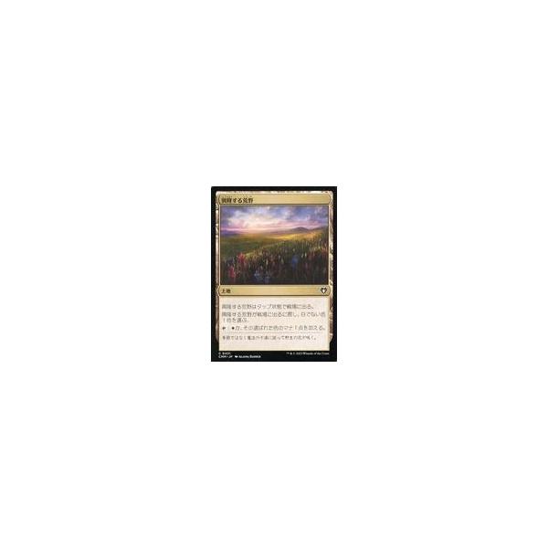 商品名：中古マジックザギャザリング 0431[C]：【CMM】興隆する荒野/Thriving Heathマジックザギャザリング/日本語版/C/土地/統率者マスターズ分類：土地/レア度：C