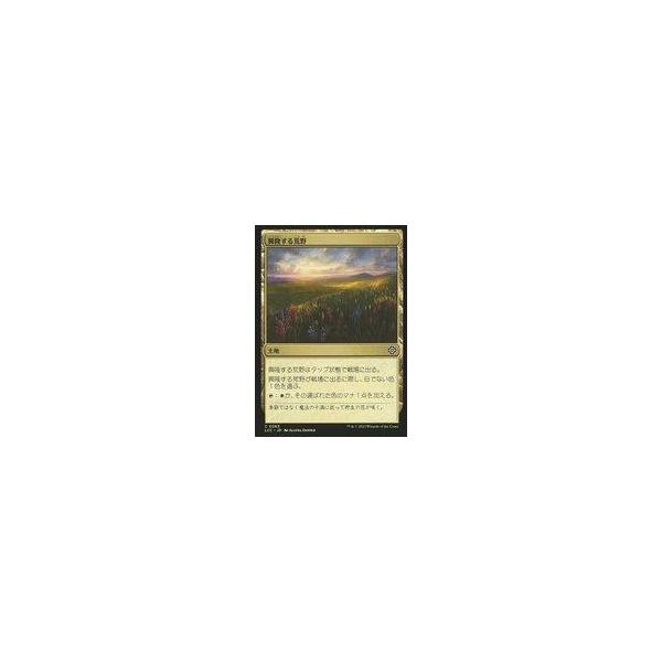 商品名：中古マジックザギャザリング 0363[C]：【LCC】興隆する荒野/Thriving Heathマジックザギャザリング/日本語版/C/土地/イクサラン：失われし洞窟 統率者デッキ分類：土地/レア度：C