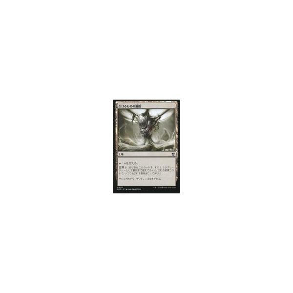商品名：中古マジックザギャザリング 0311[U]：【MKC】生けるものの洞窟/Zoetic Cavernマジックザギャザリング/日本語版/U/土地/カルロフ邸殺人事件 統率者デッキ分類：土地/レア度：U