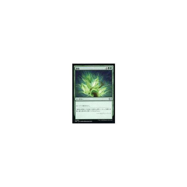 商品名：中古マジックザギャザリング 0182[U]：【DSC】調和/Harmonizeマジックザギャザリング/日本語版/U/緑/ダスクモーン：戦慄の館 統率者デッキ分類：緑/レア度：U