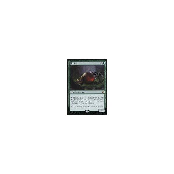 商品名：中古マジックザギャザリング 0232[R]：【FDN】漁る軟泥/Scavenging Oozeマジックザギャザリング/日本語版/R/緑/ファウンデーションズ分類：緑/レア度：Rシリーズ：ファウンデーションズ商品解説■Whether ...