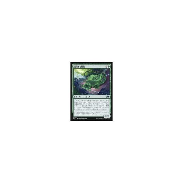 商品名：中古マジックザギャザリング 0172[U]：【DFT】巡回する軟泥/Ooze Patrolマジックザギャザリング/日本語版/U/緑/霊気走破 プレイ・ブースター分類：緑/レア度：Uシリーズ：霊気走破 プレイ・ブースター商品解説■戦い...