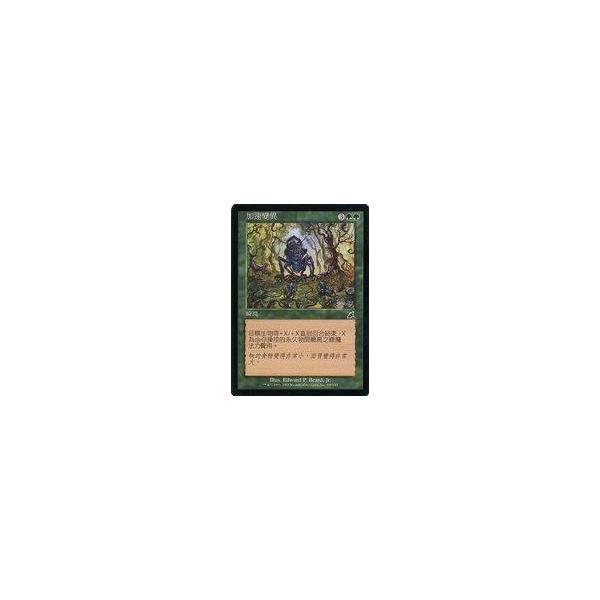 商品名：中古マジックザギャザリング 109/143[C]：【繁体字中国語版】【SCG】Accelerated Mutation/促成の突然変異マジックザギャザリング/繁体字中国語版/C/緑/Scourge(スカージ)分類：緑/レア度：Cシリ...