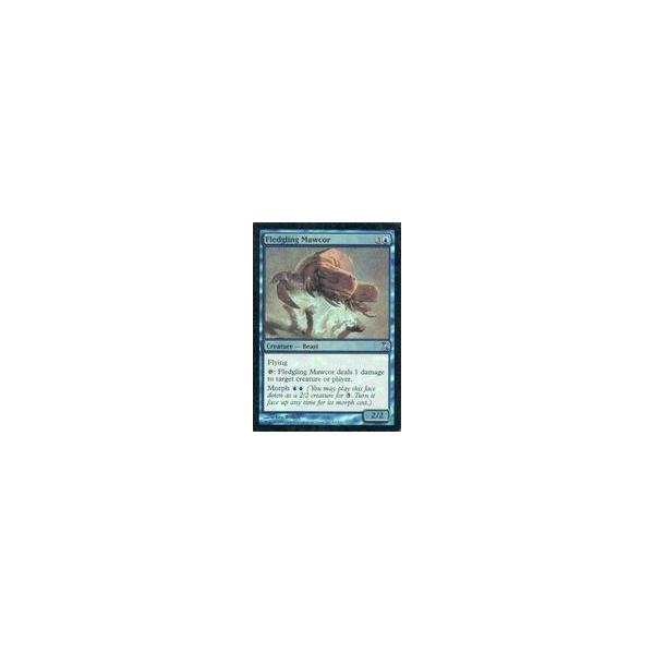 商品名：中古マジックザギャザリング 63/301[U]：【TSP】【FOIL】Fledgling Mawcor/巣立つ大口獣マジックザギャザリング/英語版FOIL/U/青/時のらせん分類：青/レア度：Uシリーズ：時のらせん商品解説■「マジッ...