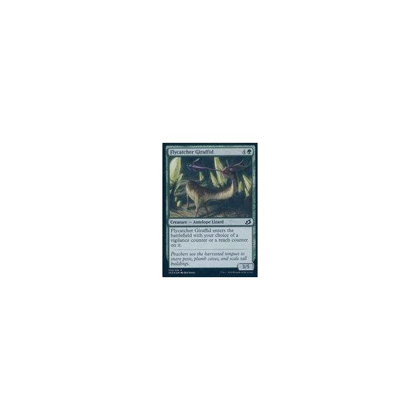 商品名：中古マジックザギャザリング [C]：【FOIL】Flycatcher Giraffid/ハエ捕り長首マジックザギャザリング/英語版FOIL/C/緑/イコリア：巨獣の棲処分類：緑/レア度：C