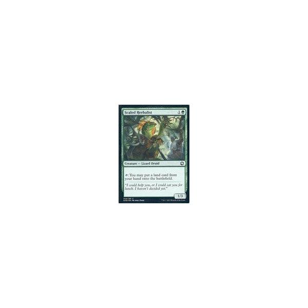 商品名：中古マジックザギャザリング 204/281[C]：【AFR】【FOIL】Scaled Herbalist/鱗の薬草医マジックザギャザリング/英語版FOIL/C/緑/フォーゴトン・レルム探訪分類：緑/レア度：Cシリーズ：フォーゴトン・...