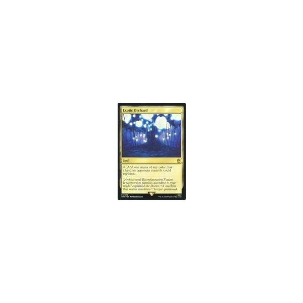 商品名：中古マジックザギャザリング 0276[R]：【WHO】【FOIL】Exotic Orchard/風変わりな果樹園マジックザギャザリング/英語版FOIL/R/土地/ユニバースビヨンド ドクター・フー コレクター・ブースター分類：土地/...