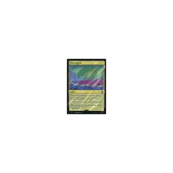 商品名：中古マジックザギャザリング 0918[C]：【WHO】【サージFOIL】Thriving Isle/興隆する島嶼マジックザギャザリング/英語版FOIL/C/土地/ユニバースビヨンド ドクター・フー コレクター・ブースター分類：土地/...
