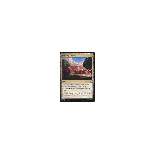 商品名：中古マジックザギャザリング 0261[C]：【TLE】【FOIL】Thriving Grove/興隆する木立マジックザギャザリング/英語版FOIL/C/土地/ユニバース・ビヨンド アバター 伝説の少年アン コレクター・ブースター分類...