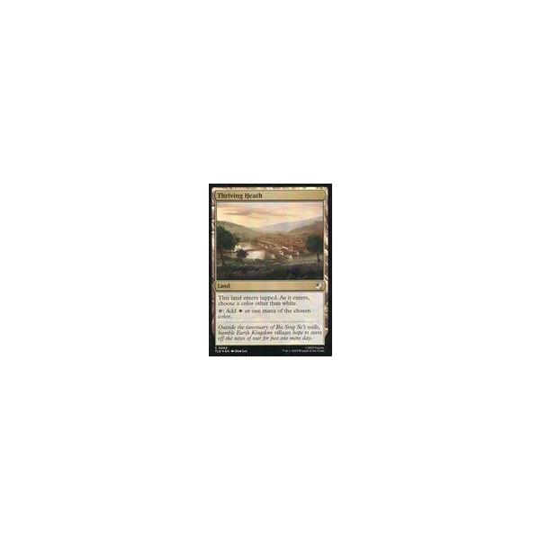 商品名：中古マジックザギャザリング 0262[C]：【TLE】【FOIL】Thriving Heath/興隆する荒野マジックザギャザリング/英語版FOIL/C/土地/ユニバース・ビヨンド アバター 伝説の少年アン コレクター・ブースター分類...