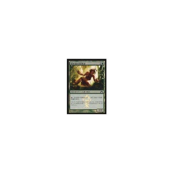 商品名：中古マジックザギャザリング [C]：【FOIL】旧き道の信奉者/Disciple of the Old Waysマジックザギャザリング/日本語版FOIL/C/ギルド門侵犯/緑分類：緑/レア度：C分類：緑/レア度：C