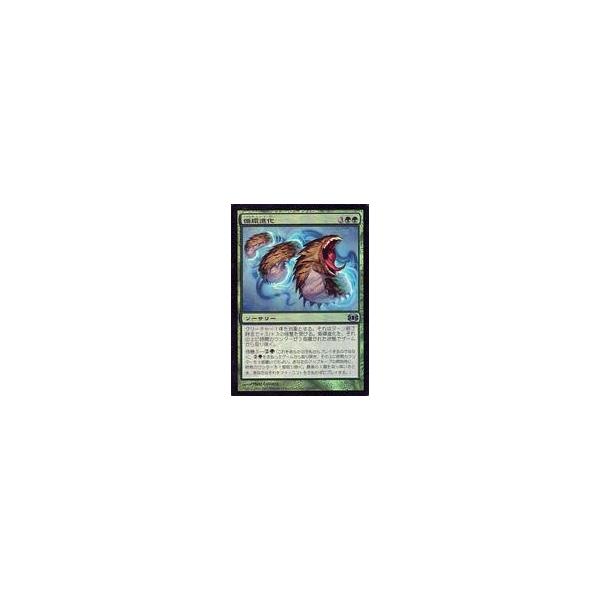 商品名：中古マジックザギャザリング 125/180[U]：【FUT】【FOIL】循環進化/Cyclical Evolutionマジックザギャザリング/日本語版FOIL/U/緑/未来予知分類：緑/レア度：U