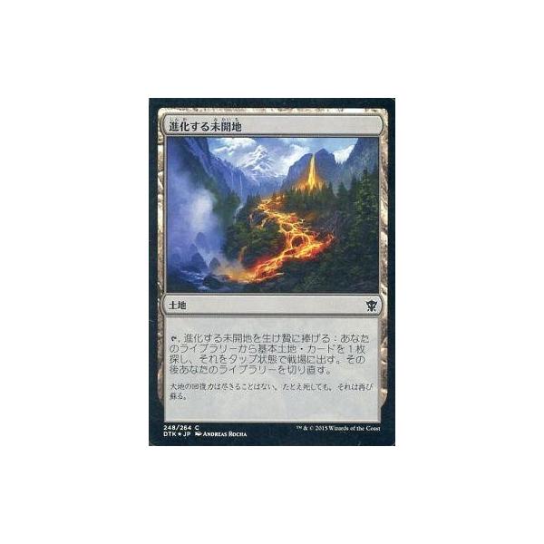 商品名：中古マジックザギャザリング [C]：【FOIL】進化する未開地/Evolving Wildsマジックザギャザリング/日本語版FOIL/C/タルキール龍紀伝/土地分類：土地/レア度：C分類：土地/レア度：C
