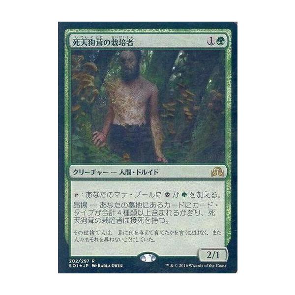 商品名：中古マジックザギャザリング [R]：【FOIL】死天狗茸の栽培者/Deathcap Cultivatorマジックザギャザリング/日本語版FOIL/R/イニストラードを覆う影/緑分類：緑/レア度：R分類：緑/レア度：R