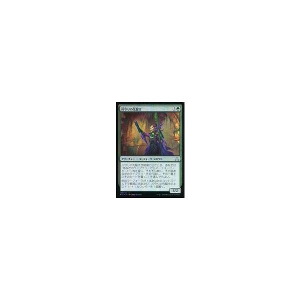 商品名：中古マジックザギャザリング 129/196[U]：【FOIL】川守りの先駆け/Forerunner of the Heraldsマジックザギャザリング/日本語版FOIL/U/イクサランの相克分類：緑/レア度：U
