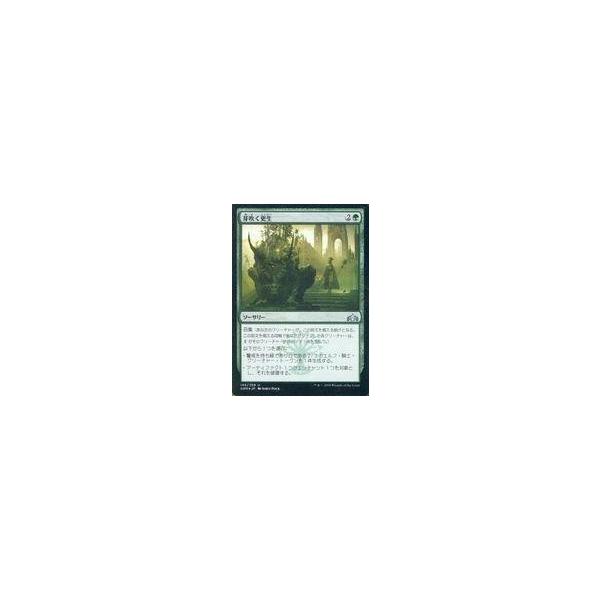 商品名：中古マジックザギャザリング 145/259[U]：【FOIL】芽吹く更生/Sprouting Renewalマジックザギャザリング/日本語版FOIL/U/ラヴニカのギルド分類：緑/レア度：U