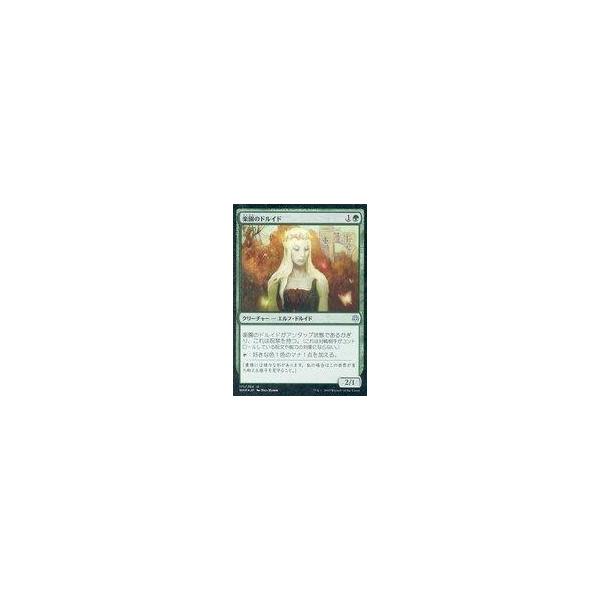 商品名：中古マジックザギャザリング 171/264[U]：【FOIL】楽園のドルイド/Paradise Druidマジックザギャザリング/日本語版FOIL/U/灯争大戦分類：緑/レア度：U