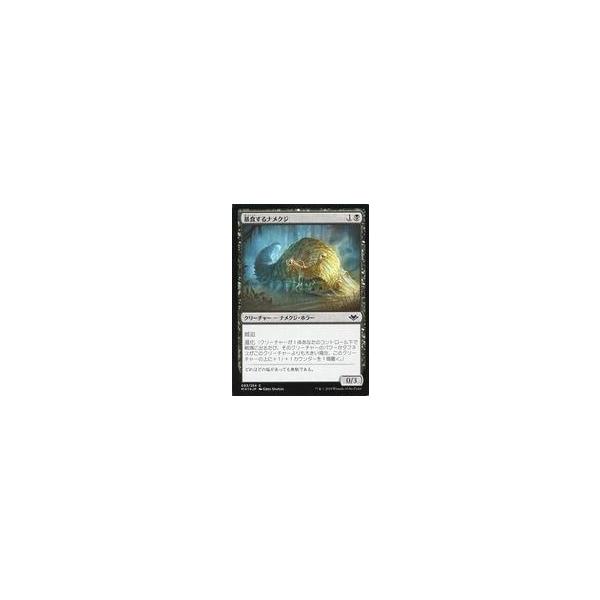 商品名：中古マジックザギャザリング 093/254[C]：【MH1】【FOIL】暴食するナメクジ/Gluttonous Slugマジックザギャザリング/日本語版FOIL/C/黒/モダンホライゾン分類：黒/レア度：C