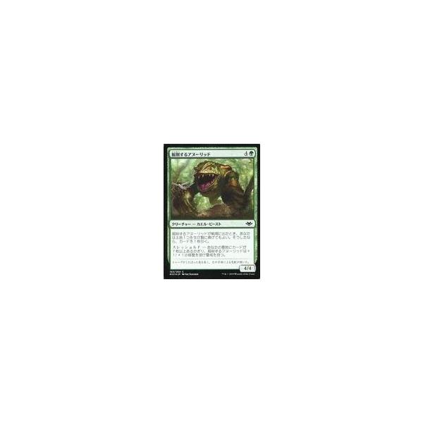 商品名：中古マジックザギャザリング 163/254[C]：【MH1】【FOIL】掘削するアヌーリッド/Excavating Anuridマジックザギャザリング/日本語版FOIL/C/緑/モダンホライゾン分類：緑/レア度：C