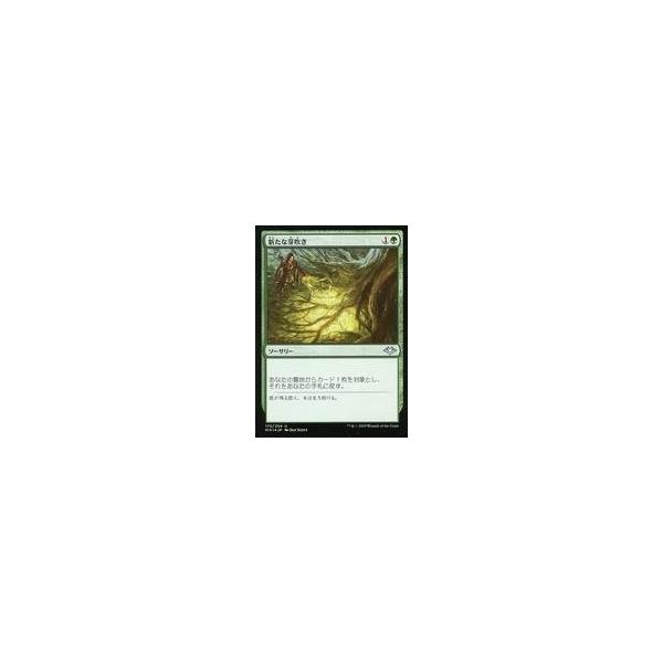 商品名：中古マジックザギャザリング 175/254[U]：【MH1】【FOIL】新たな芽吹き/Regrowthマジックザギャザリング/日本語版FOIL/U/緑/モダンホライゾン分類：緑/レア度：U