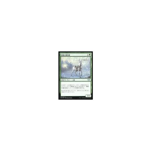 商品名：中古マジックザギャザリング 177/254[U]：【MH1】【FOIL】鞍載せ霧氷鹿/Saddled Rimestagマジックザギャザリング/日本語版FOIL/U/緑/モダンホライゾン分類：緑/レア度：U