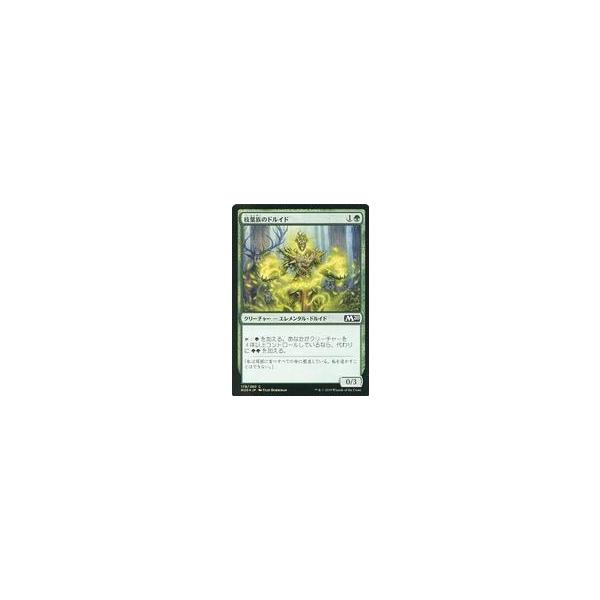 商品名：中古マジックザギャザリング [C]：【FOIL】枝葉族のドルイド/Leafkin Druidマジックザギャザリング/日本語版FOIL/C/基本セット2020/緑分類：緑/レア度：C分類：緑/レア度：C